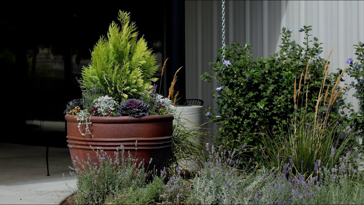 Planting up Some Giant Pots at our Church For Fall!