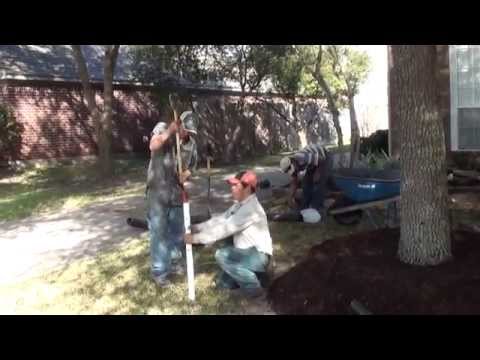 Tree Stabilizer Kits - Deep Root Watering - YouTube