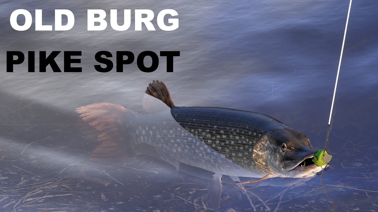 Pike Szczupak Russian Fishing 4 Old Burg | rf4 spot 328 - YouTube