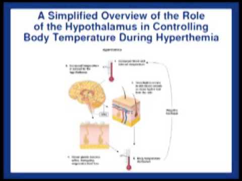 Exercise in Hot and Cold Environments - YouTube