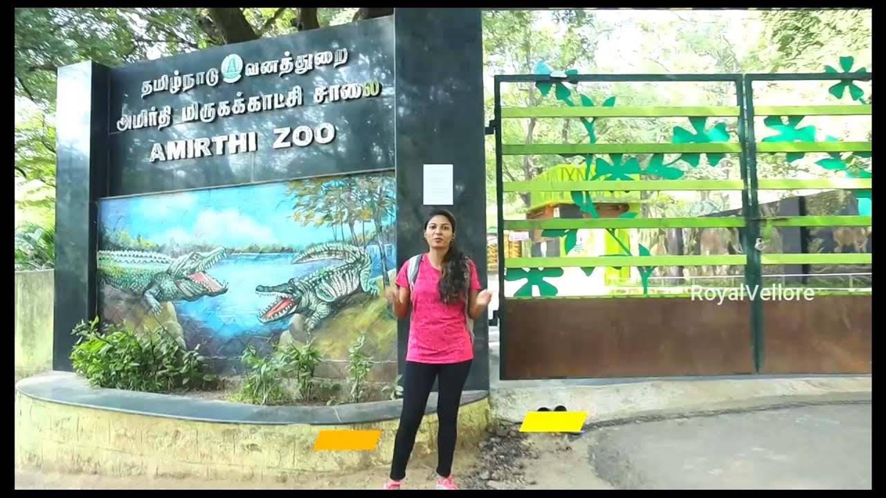 Vellore Amirthi Zoological Park | RoyalVellore - YouTube