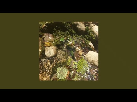 𝐘𝐚𝐞𝐥𝐨𝐤𝐫𝐞 - 𝐇𝐚𝐫𝐩𝐲 𝐇𝐚𝐫𝐞 (𝐬𝐩𝐞𝐞𝐝 𝐮𝐩)