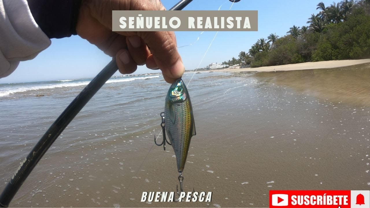 Calando Señuelo Realista Color Sardina - YouTube
