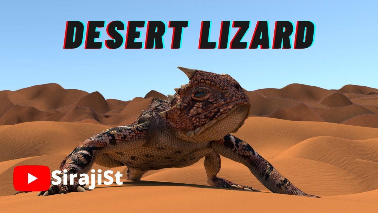 ARABIAN DESERT LIZARD அரேபியா பாலைவன பல்லி - YouTube