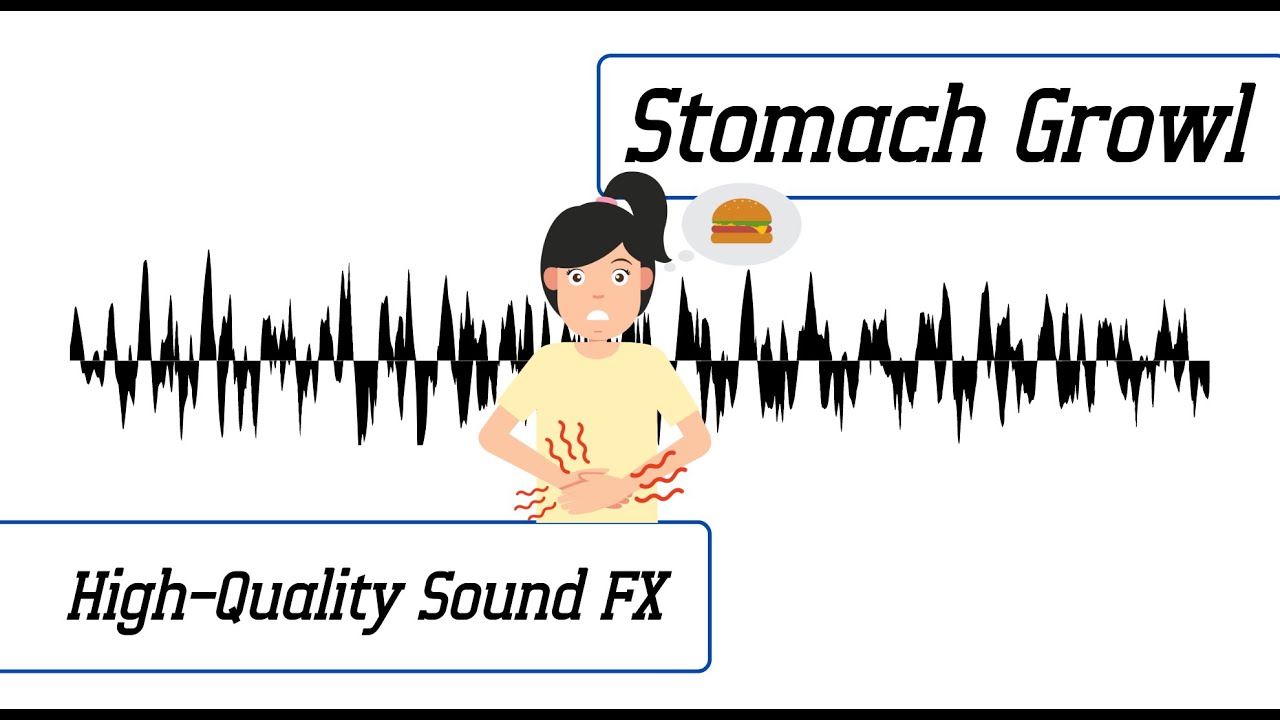 Stomach Growl Sound Effect | High-Quality Sound FX - YouTube