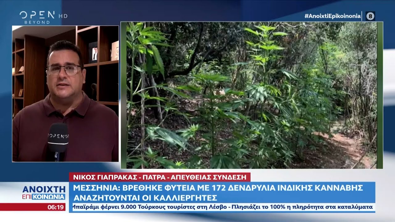 Μεσσηνία: Βρέθηκε φυτεία με 172 δενδρύλλια ινδικής κάνναβης - YouTube