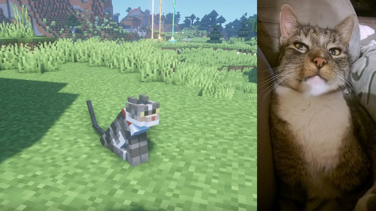 I added my Cat into Minecraft - YouTube