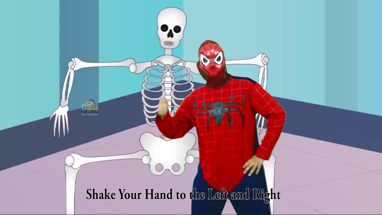 The Foot Bone Connected To the Leg Bone || Action Nursery Rhyme For ...