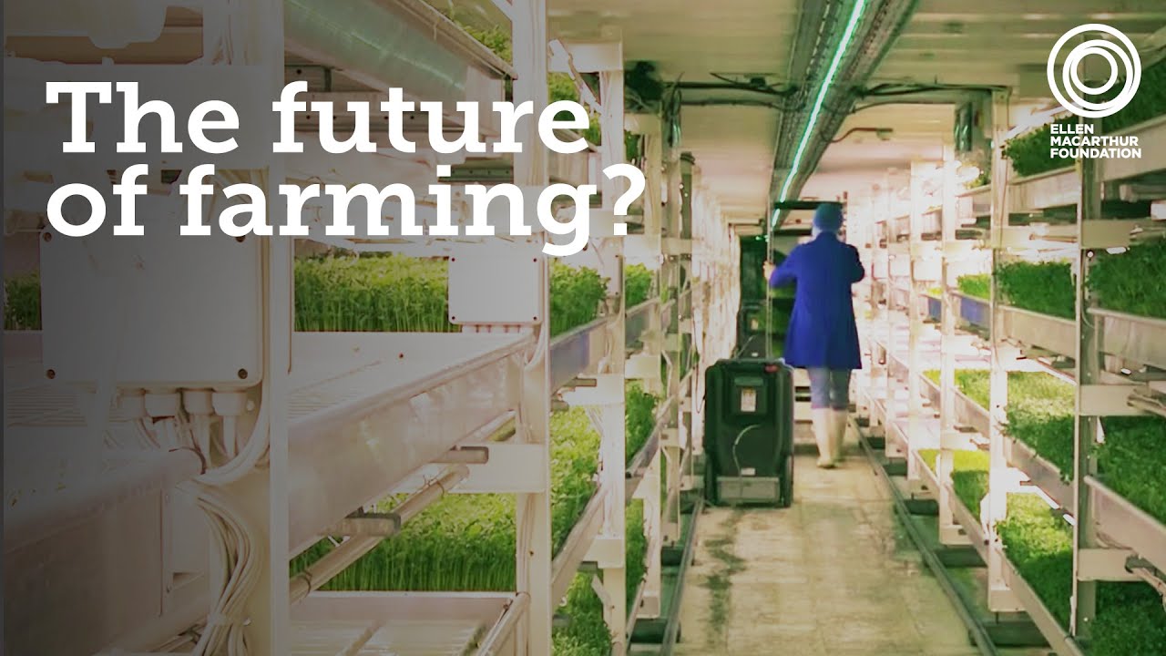 This underground farm doesn't use soil | Meet the Designers Eliminating ...