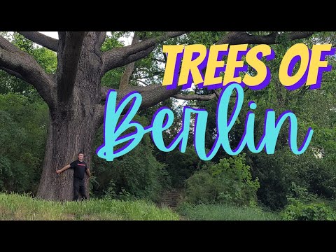 What Trees Are Native To Berlin Germany