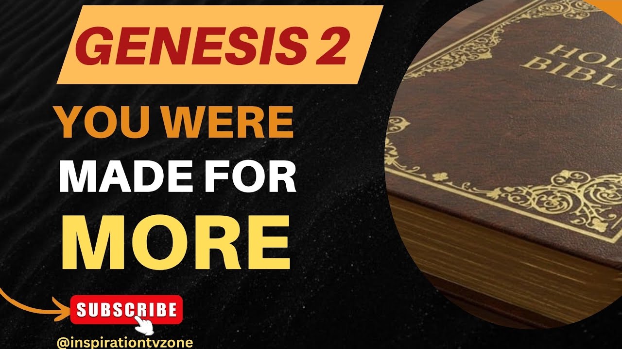 Genesis 2 – You Were Made For More | Study the Bible with Me Chapter by ...