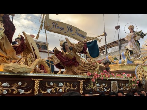 PAVO REAL O CHOMPIPE / Procesión Inmaculada Concepción de San Francisco ...