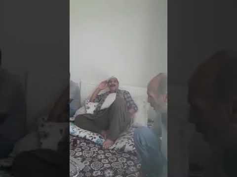 dengbej mamo nusaybinturgut tv