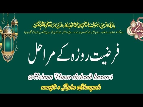 Roze kub our kese Fraz hve? Molana Umar shehzad hazarvi - YouTube