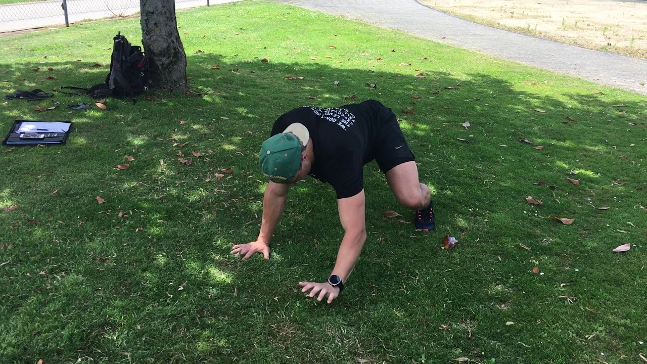Lizard Crawl - Upside Strength Exercise Library - YouTube