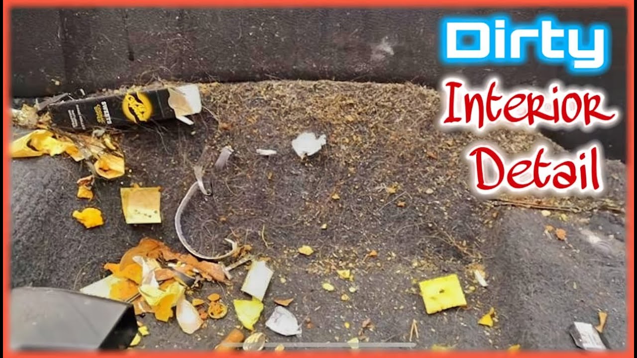 DIRTY INTERIOR DETAIL | PT 1 | WE'RE BACK!! - YouTube