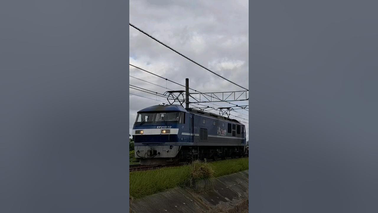 EF210-12+コキ #jr貨物 #shorts - YouTube