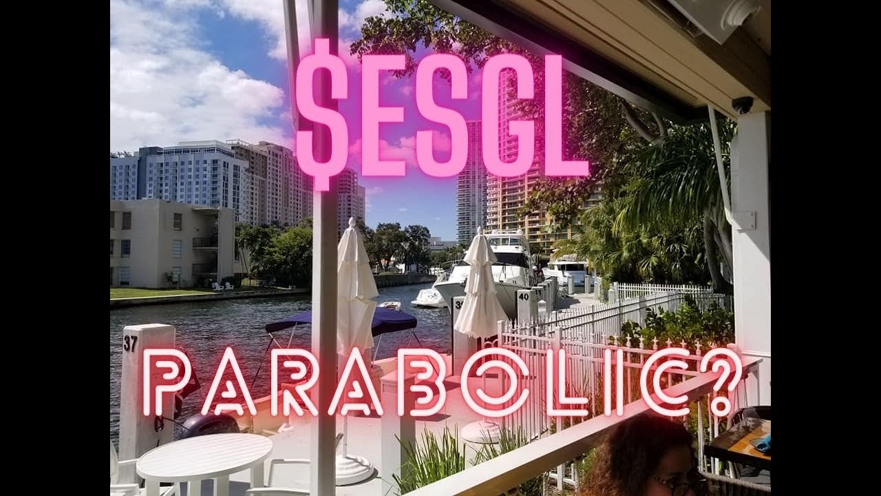 REVIEW - Environmental Solutions Group Holdings Limited $ESGL - A multi ...