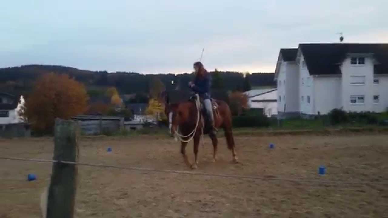 Parelli-Pattern mit Queenie im Freestyle-Reiten - YouTube