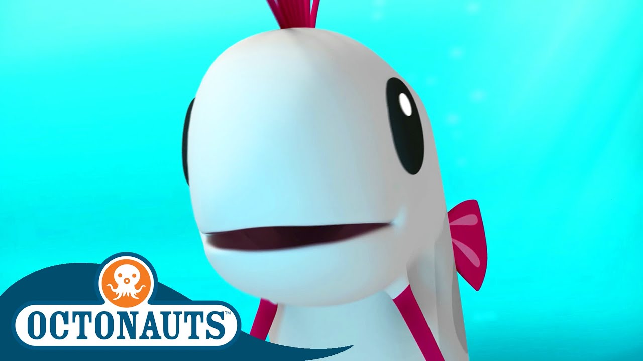 @Octonauts - 🍥 The Oarfish 🐉 | Season 1 | Full Episodes | Cartoons for ...