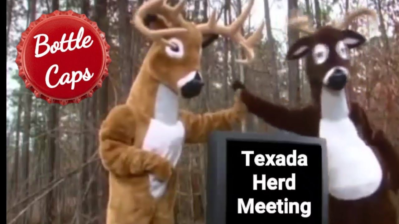 Texada Island - Deer Meeting 🇨🇦 - YouTube