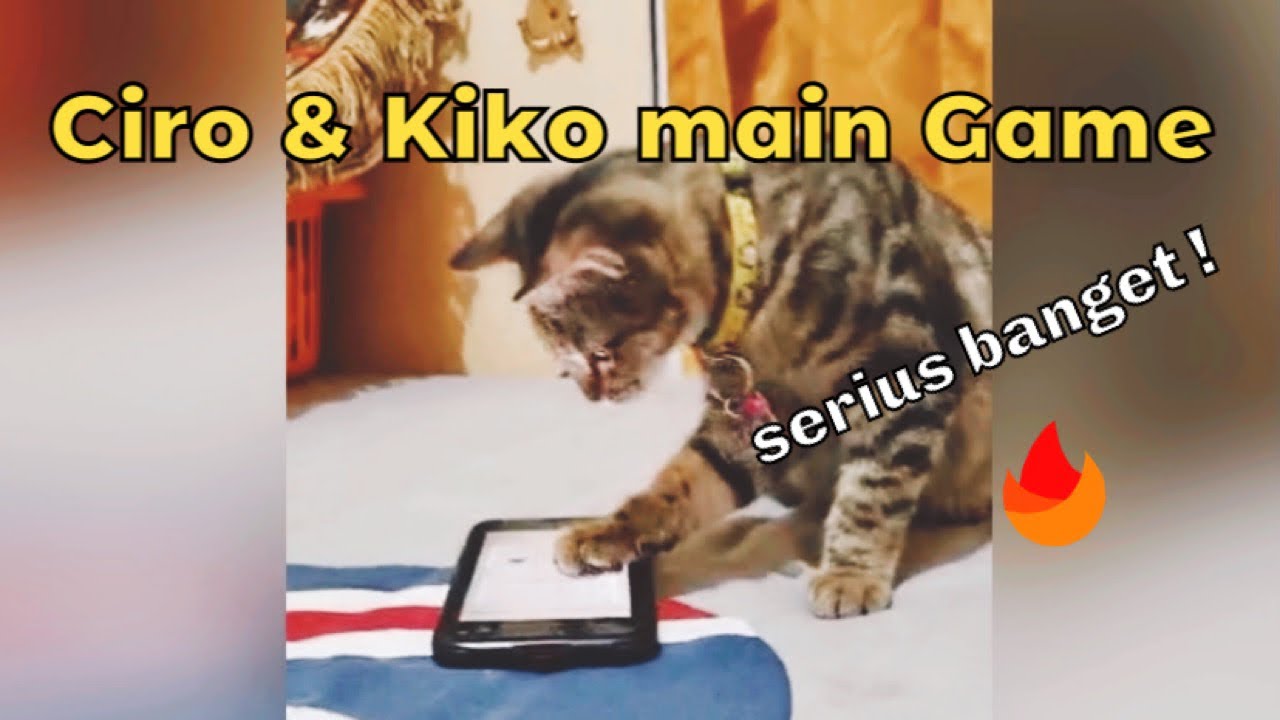 KUCING LUCU MABAR GAME ONLINE - YouTube