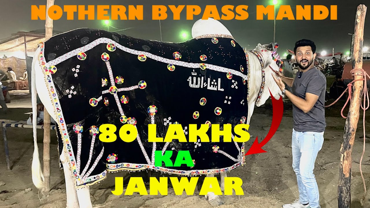 80 Lakhs ka Janwar Pasand Agya || Janwar Ney Sabki Doren Lagva deen ...