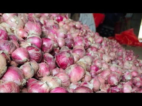 The price of chopped onion is extra What is the price today? 28th ...