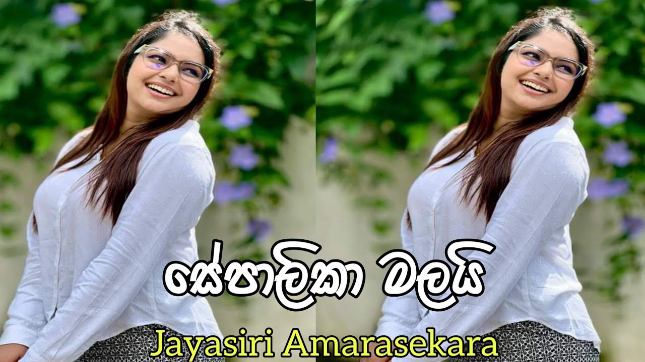 Sepalika Malai - සේපාලිකා මලයි | Jayasiri Amarasekara - Sinhala Song ...