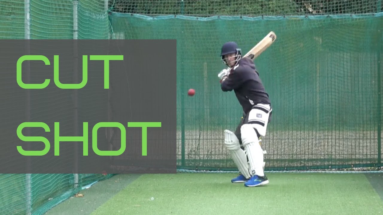 CRICKET TIPS - KEYS TO PLAYING THE CUT SHOT WELL | Scolls Stories 263 ...