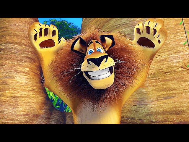 Madagascar 2022 Alex