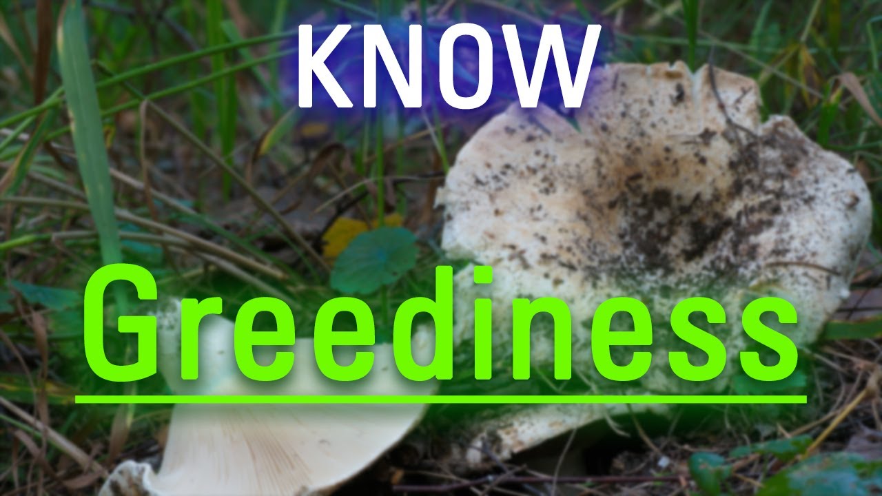 What is Greediness? | How to Say Greediness in English? | How Does ...