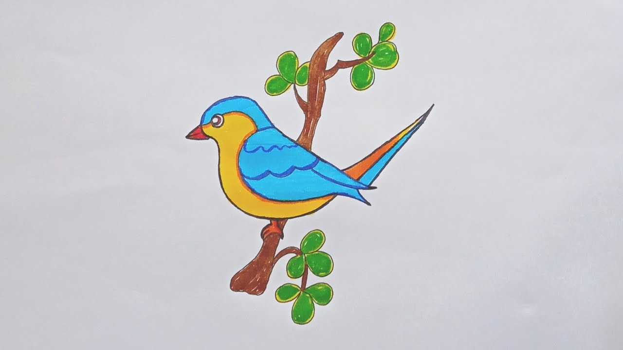 COLOURFULL LITTLE BIRD VERY EASY DRAWING || BIRD DRAWING FOR KIDS - YouTube