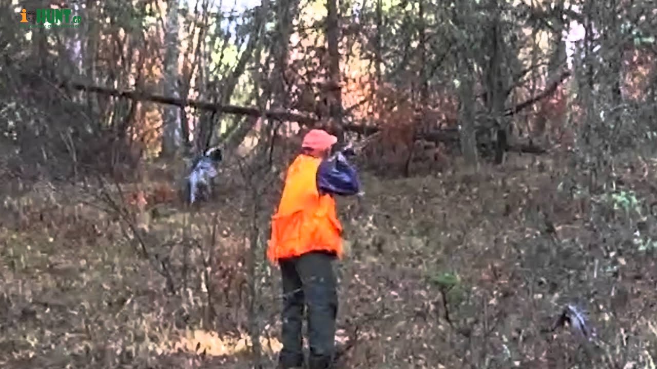 ΕΠΙΣΤΡΟΦΙΑ ΣΤΟ 1500 - ΚΥΝΗΓΙ ΜΠΕΚΑΤΣΑΣ - HUNTING WOODCOCK IN NORTHEN ...