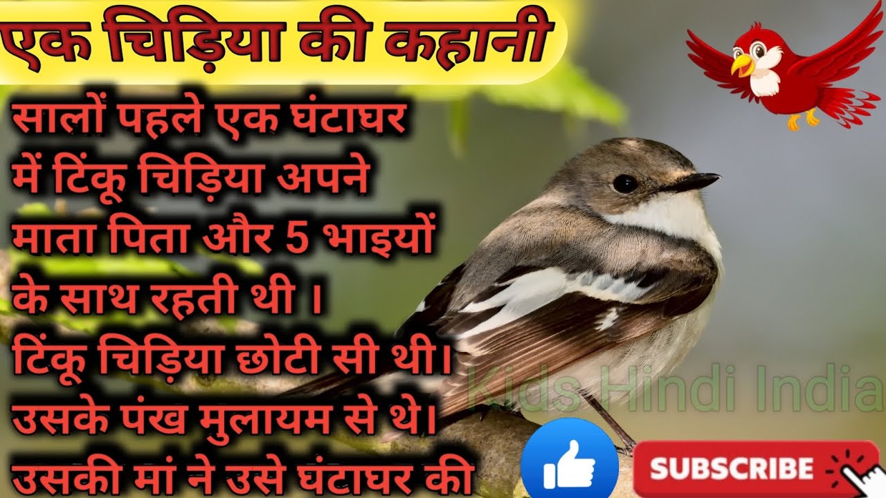 EK CHIDIYA KI KAHANI | HUNGRY BIRDS| HINDI STORY | BIRDS KAHANI | BIRDS ...