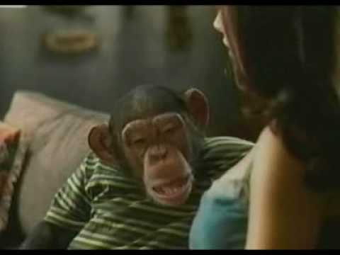 Bud Light Chimp funny commercial - YouTube