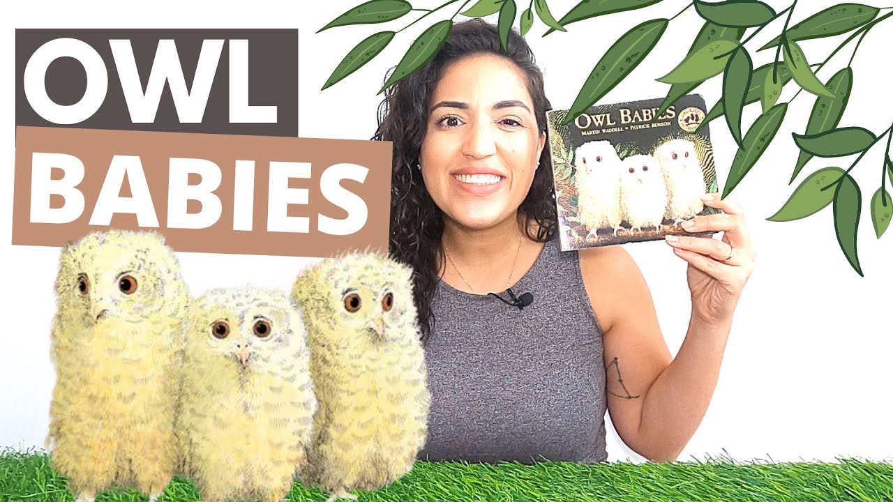 Owl Babies - by Martin Waddell - YouTube