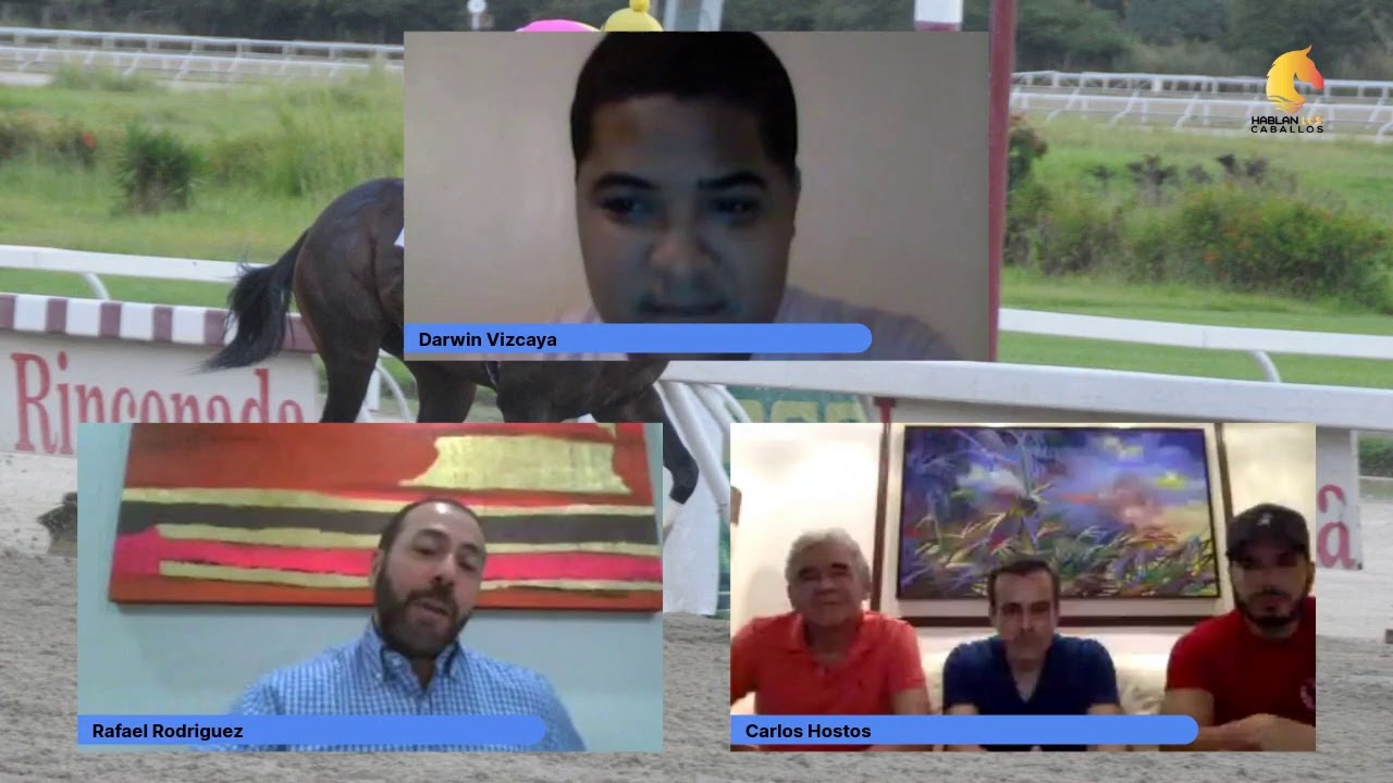 #HablanlosCaballos con Jose Francisco D'angelo, Stud Dona Tita y Stud ...