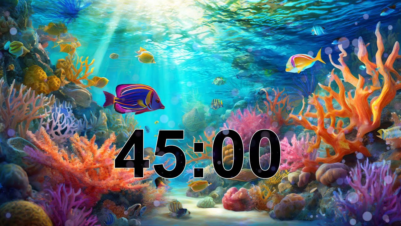 45 Minute Timer | Amazing Underwater World 🌊 - YouTube