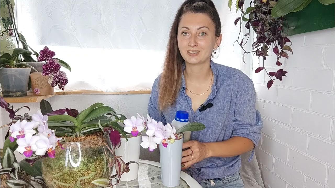 КОРНИ Орхидеи ВЫРАСТУТ СРАЗУ После Такой Стимуляции, БЫСТРО УВИДИТЕ ...