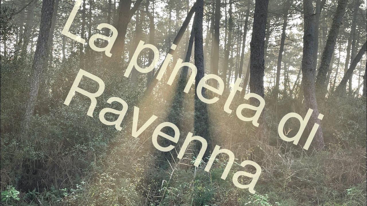 La pineta di Ravenna.(v.48) - YouTube