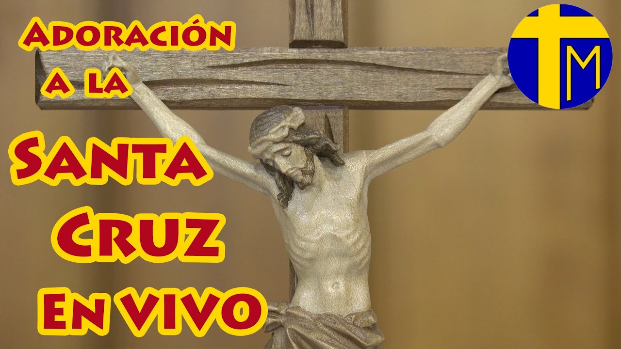 Live Adoration of the Blessed Sacrament / Perpetual Adoration Live ...