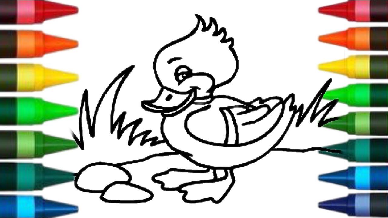 how to draw & colour a duck 🦆| duck drawing | duck colouring | duck ...