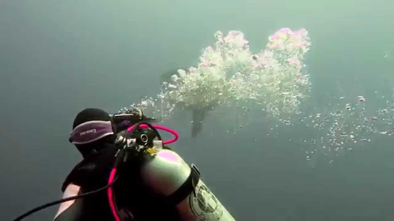 Bali Scuba Diving-Blue Corner - YouTube