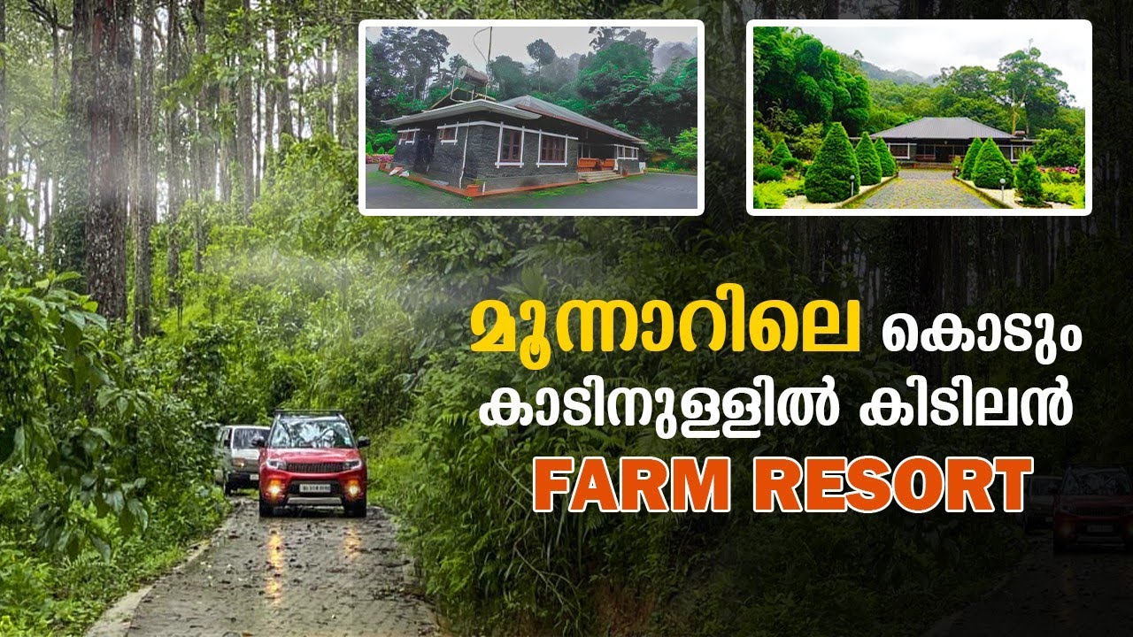 Budget Resort in Munnar | Dew Drops Farm Resort | Munnar | ചെറിയ ചിലവി ...