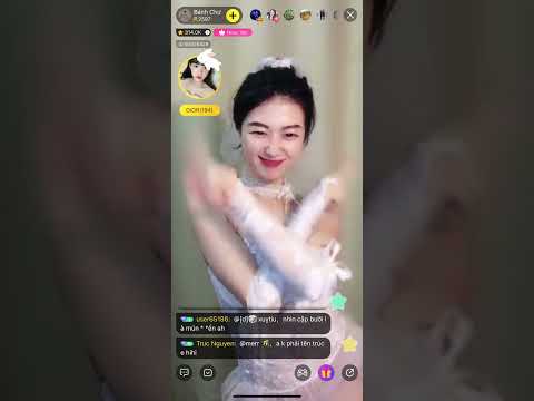 bunny live