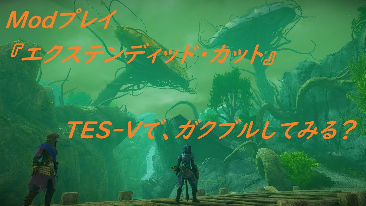 Modプレイ『スカイリム・エクステンディッド・カット』/ Skyrim Extended Cut - YouTube