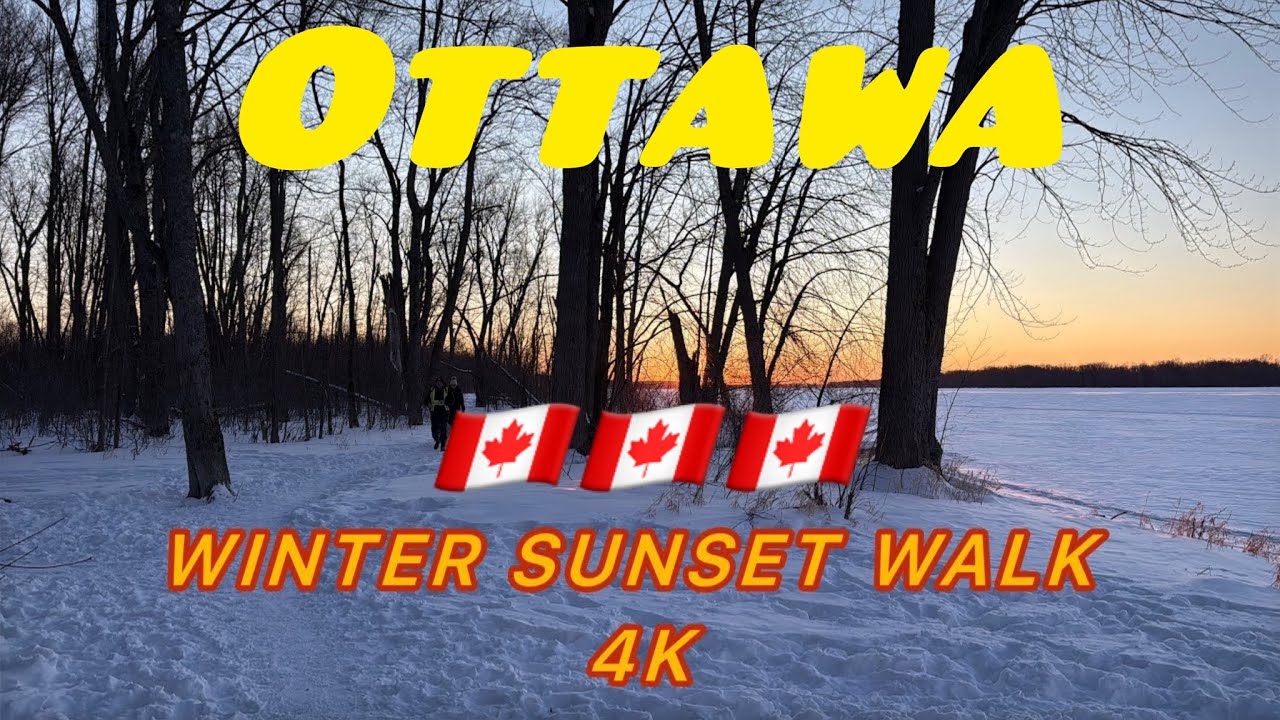 [4K]🇨🇦Winter Sunset Walk in Snowy Forest -20 ️ | Frozen River | Walking ...