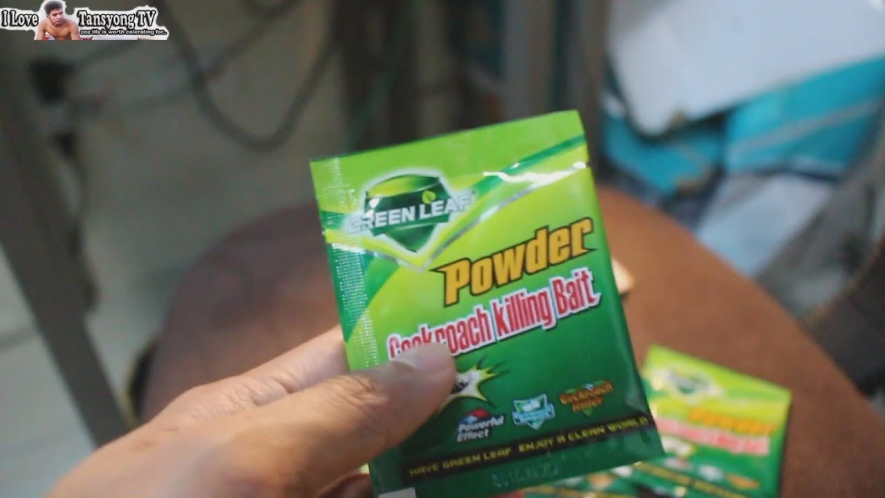 🦟 REVIEW: Green Leaf Powder Cockroach Killing Bait – Effective But ...