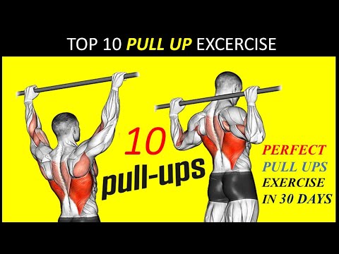 Rapid Excercise || 15 types of Pull Ups (Beginner to Advanced) | how to ...